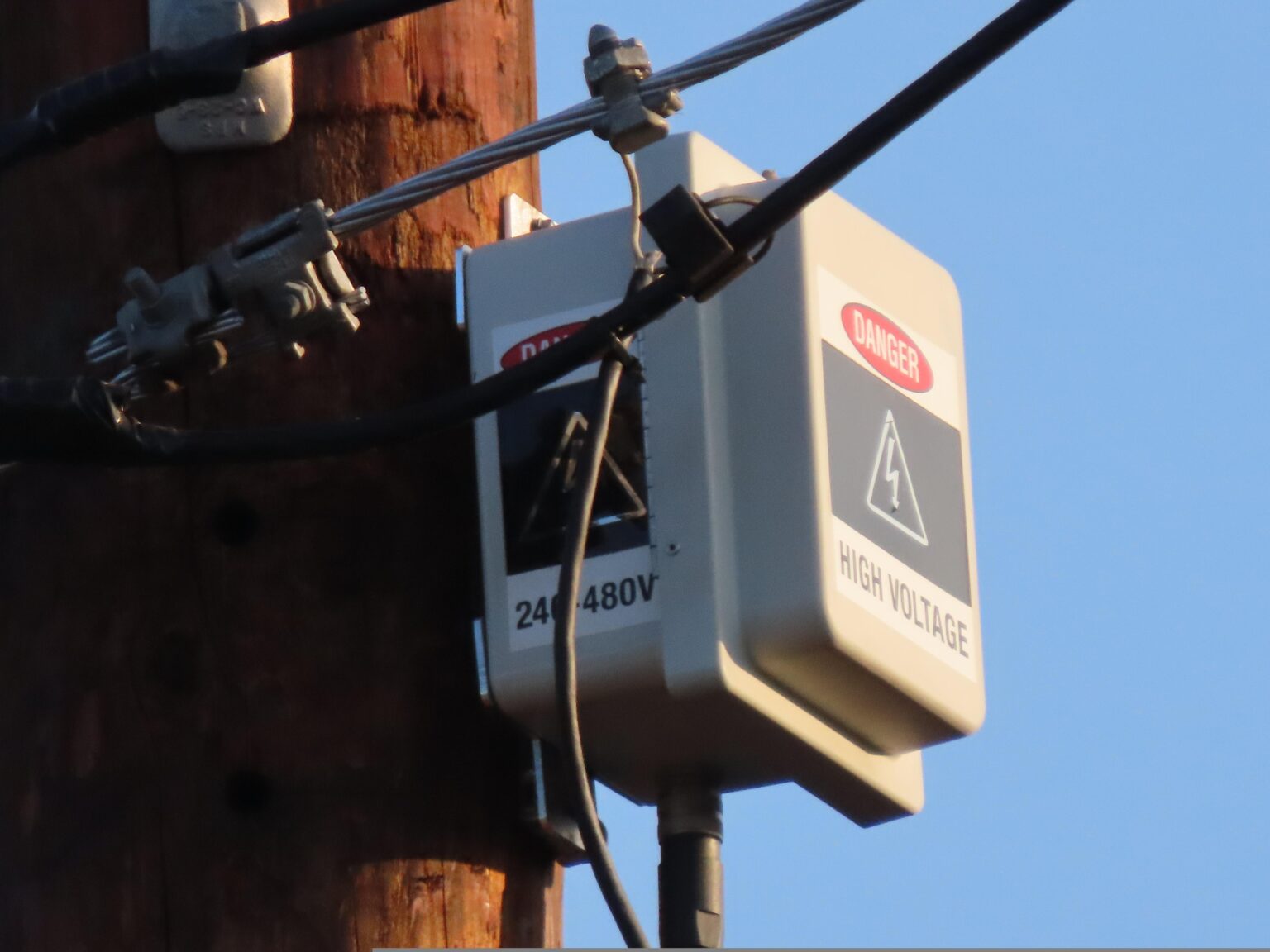 Telephone Pole Camera in SE Portland – Rose City Counter-Info